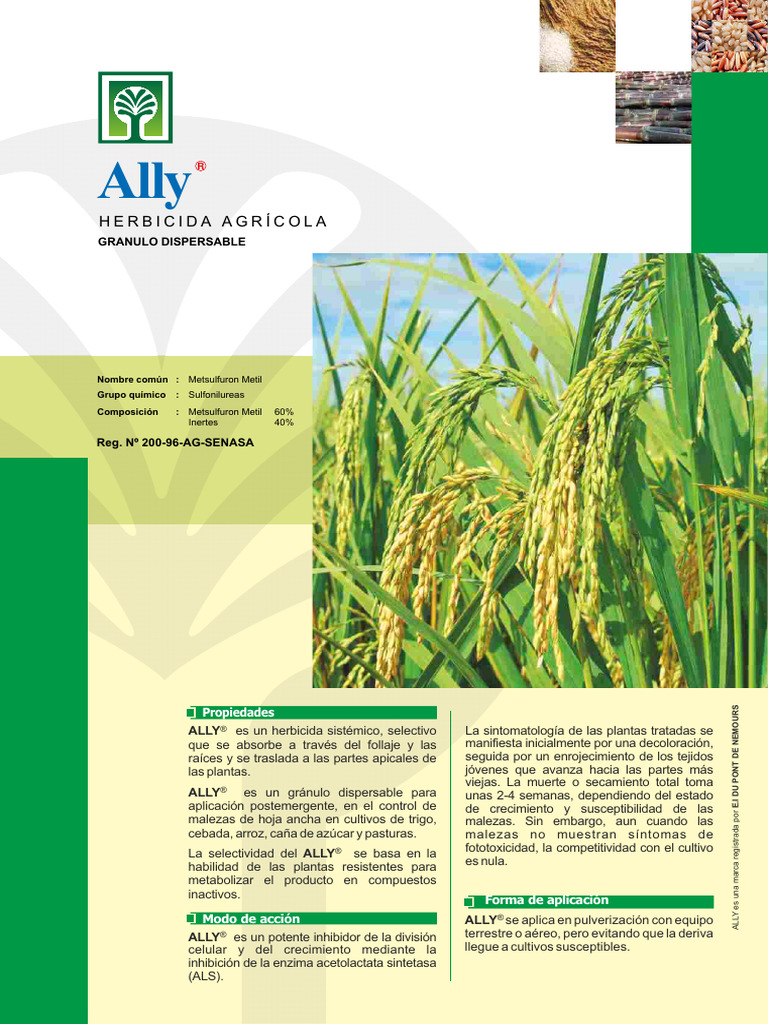 Herbicida Ally: Uso y Dosis | PDF | Hierba | Herbicida