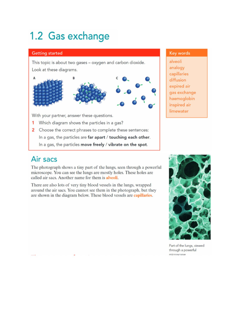 JN Gas Exchange and Breathing | PDF | Breathing | Lung