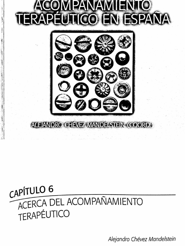 Chevez Rol y Funcion | PDF
