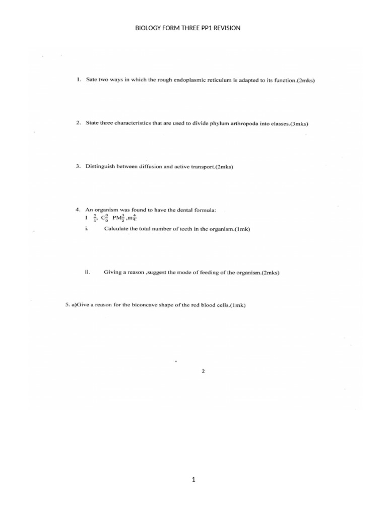 M3 | PDF
