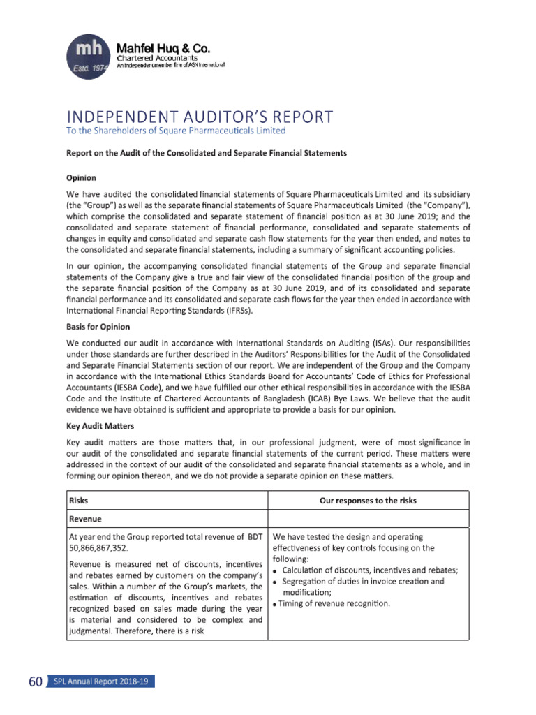 Audit Report Print | PDF