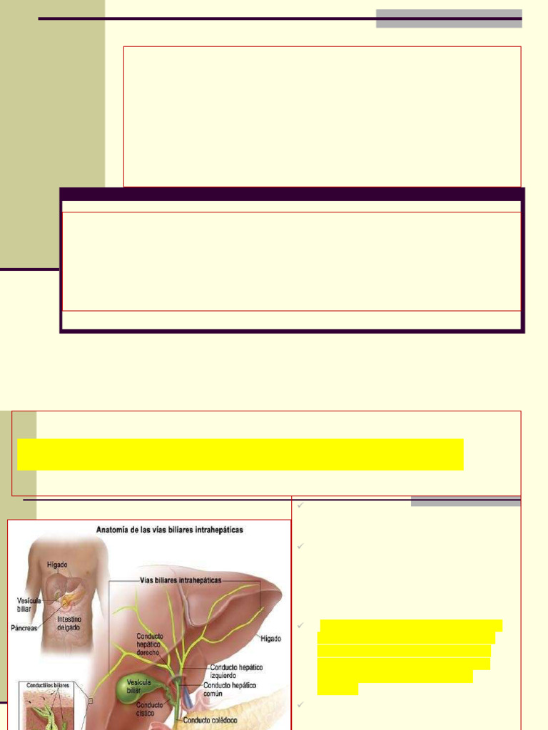 Bilis y Acidos Biliares | PDF | Bilis | Digestión