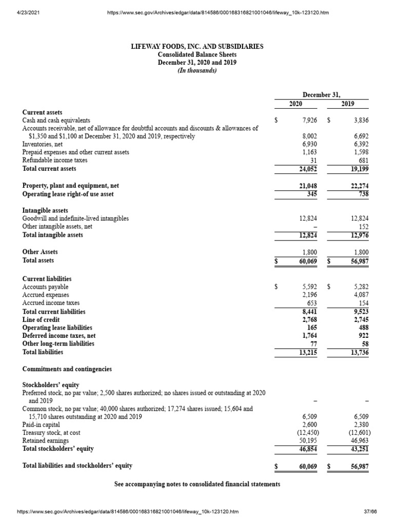 Lifeway Foods 2020 Financial Statements | PDF | Goodwill (Accounting ...