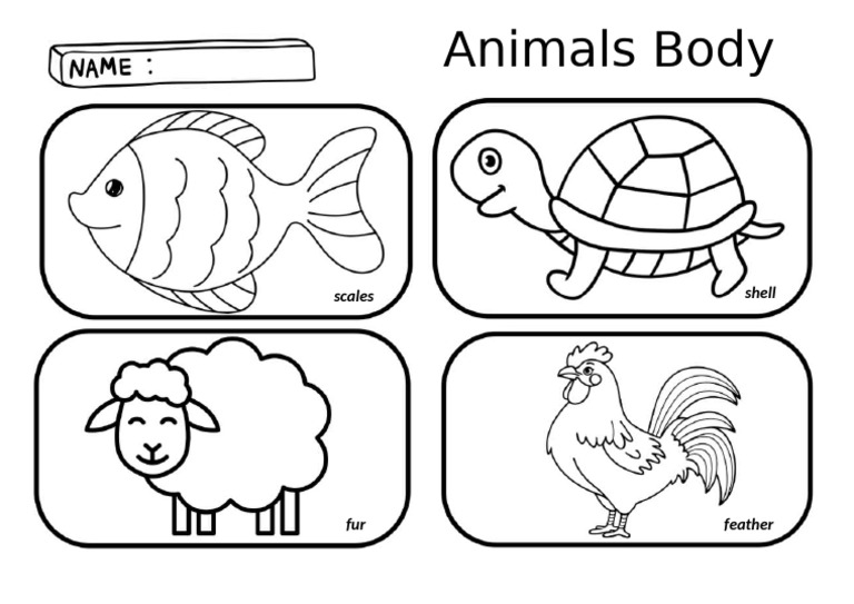 Animals Body Covering WORKSHEET | PDF