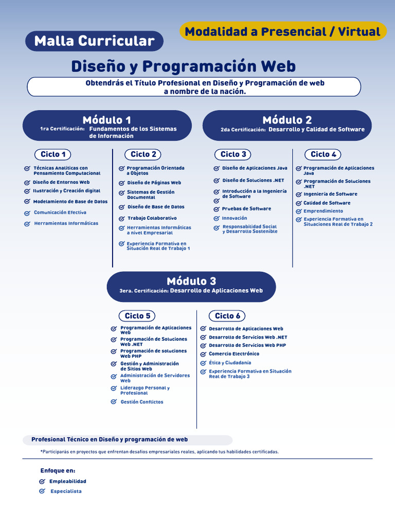 Malla Curricular Diseno y Programacion Web | PDF | Red mundial | Internet y web