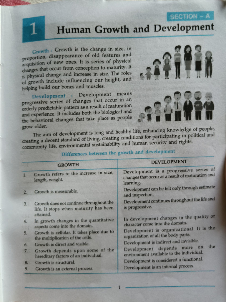 Understanding Human Growth and Development | PDF | Adolescence ...