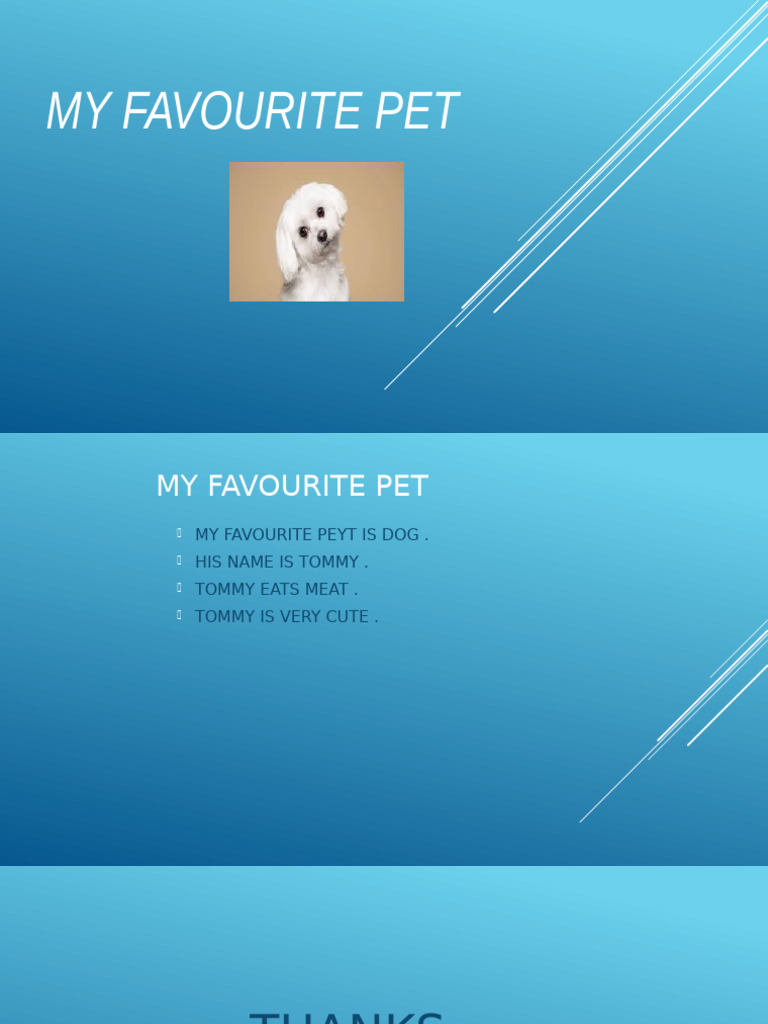 My Favourite Pet | PDF