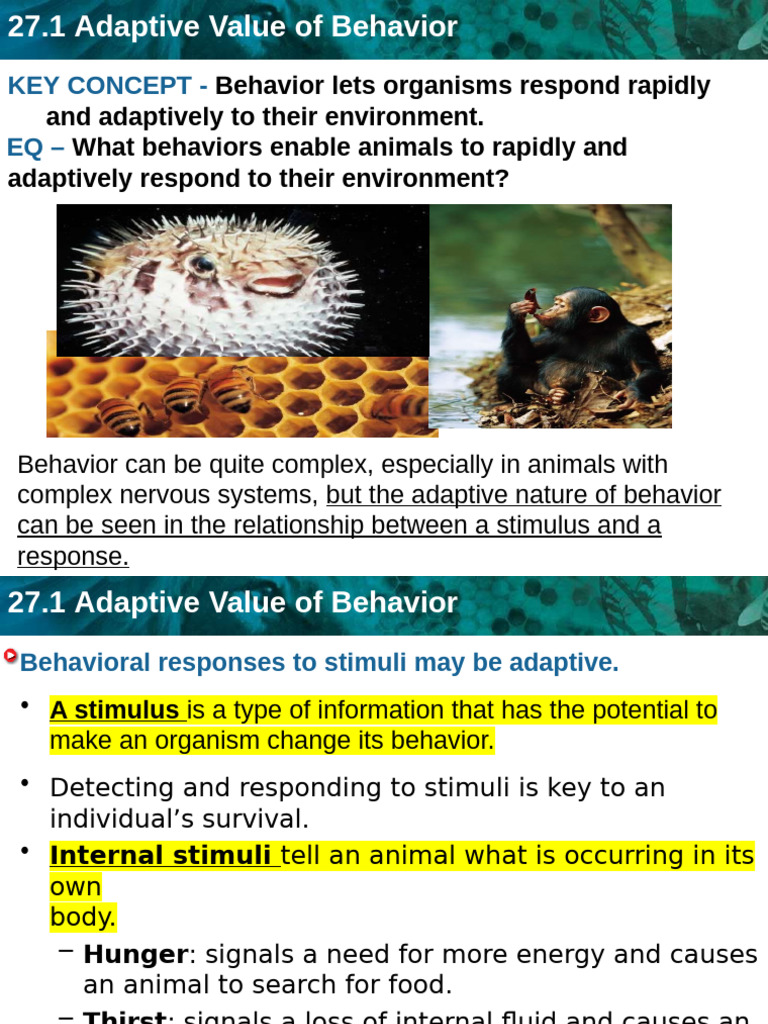 Adaptive Behavior in Response to Stimuli | PDF | Stimulus (Physiology ...
