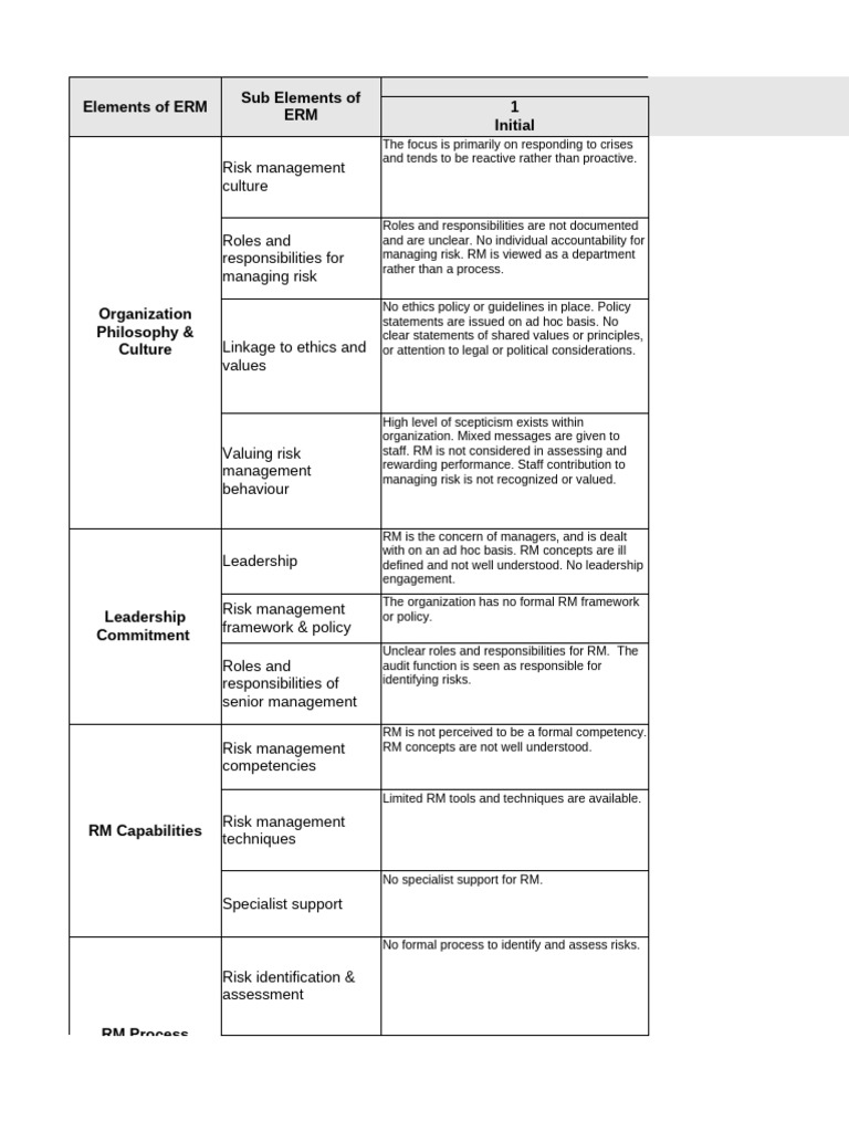 ERM Maturity Level Assessment Tool | PDF | Risk | Risk Management