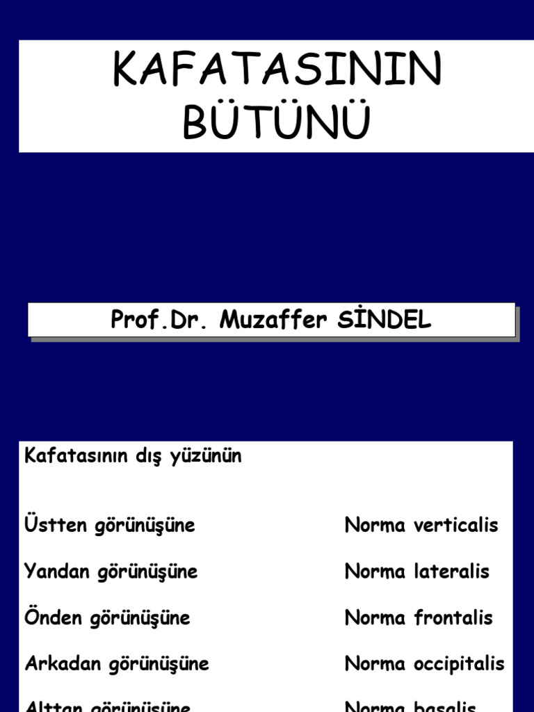 7 - Myo - Kafatasi Bütünü 2019-2020 | PDF