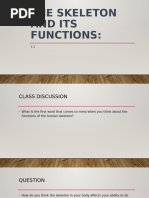 The Skeletal System - Skeleton - Living Organisms - KS3 Biology - BBC ...