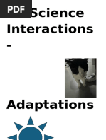 Aerial Adaptations | PDF | Habitat | Plants