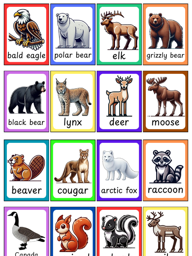 Canadian Animals V1 | PDF