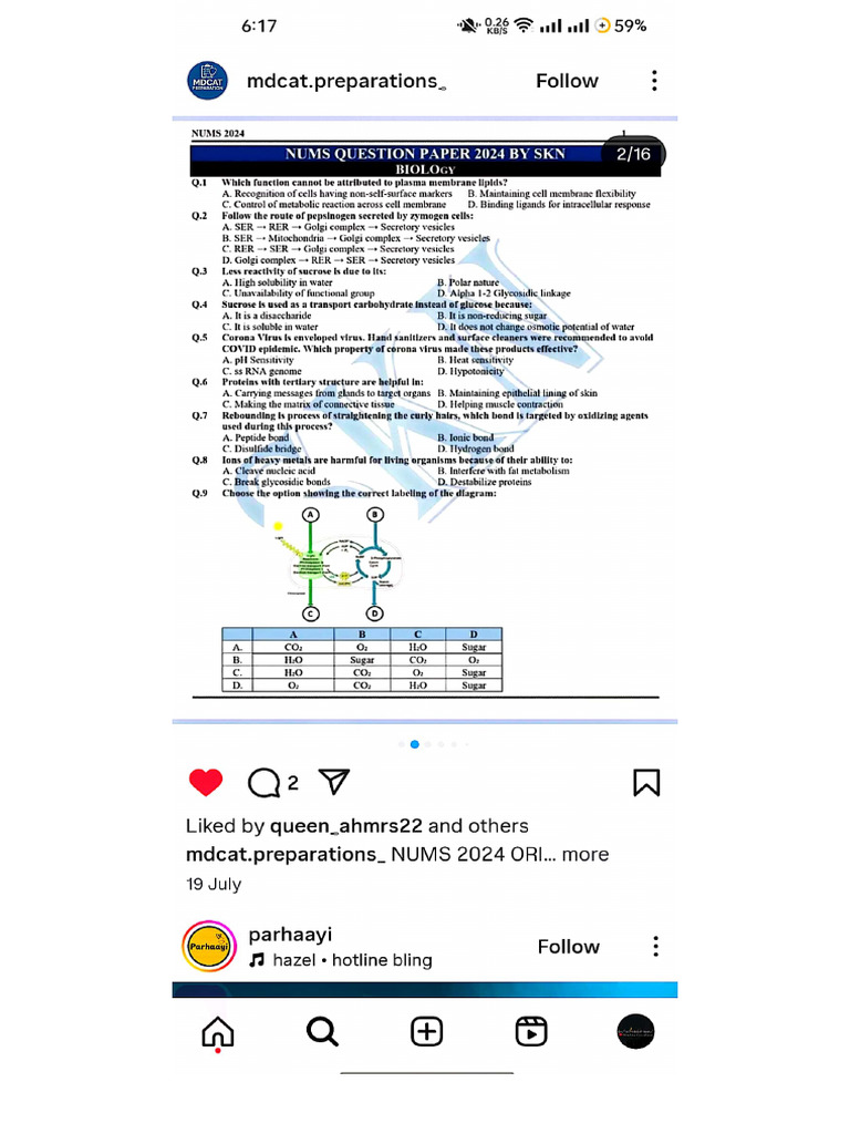 NUMS MDcat 2024 Paper with Key | PDF