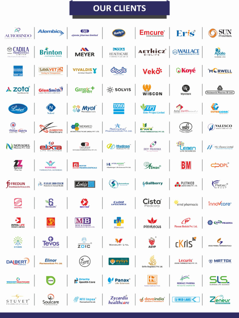 Our Clients | PDF