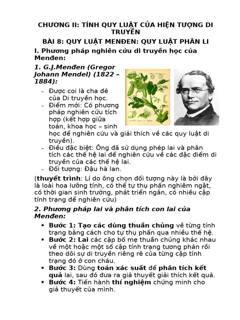 Bài 8-Quy Luật Menđen Quy Luật Phân Li | PDF