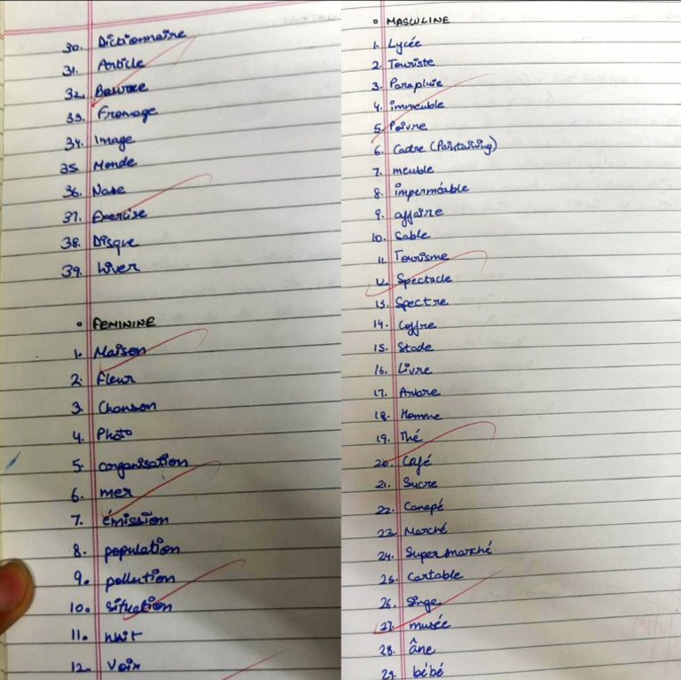 French Exceptions List | PDF