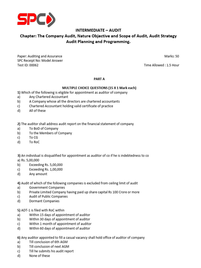 Company Audit Strategy and Planning Guide | PDF | Audit | Limited ...