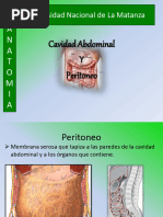 Anatomía del Peritoneo y sus Estructuras | PDF | Abdomen | Peritoneo