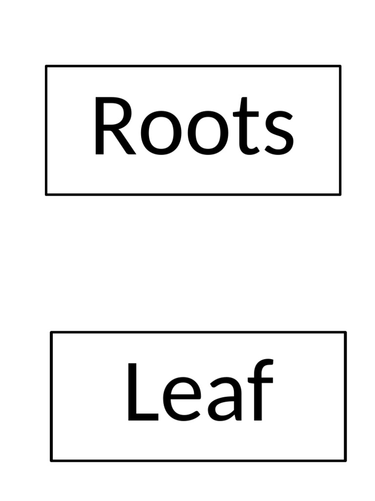 Labels Parts of The Plant | PDF