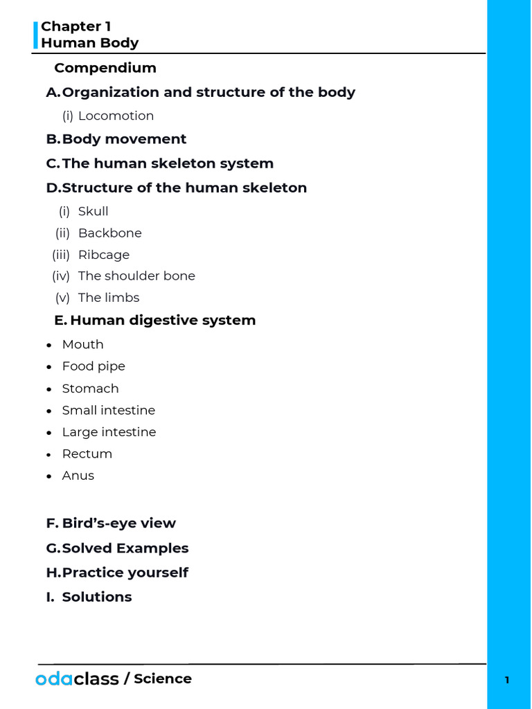 (E-Module) Science Ch5 Human Body | PDF | Digestion | Skeleton