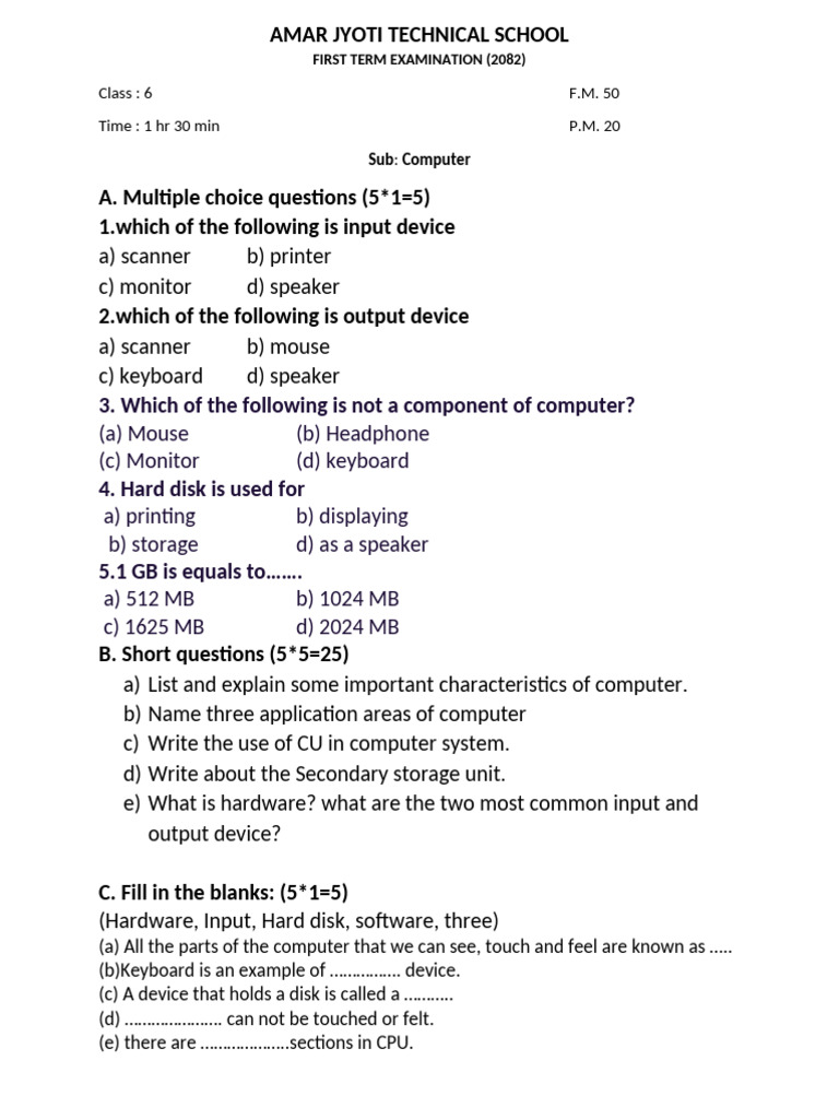 Class 6 Computer Exam Questions Term 1 | PDF | Computer Hardware ...