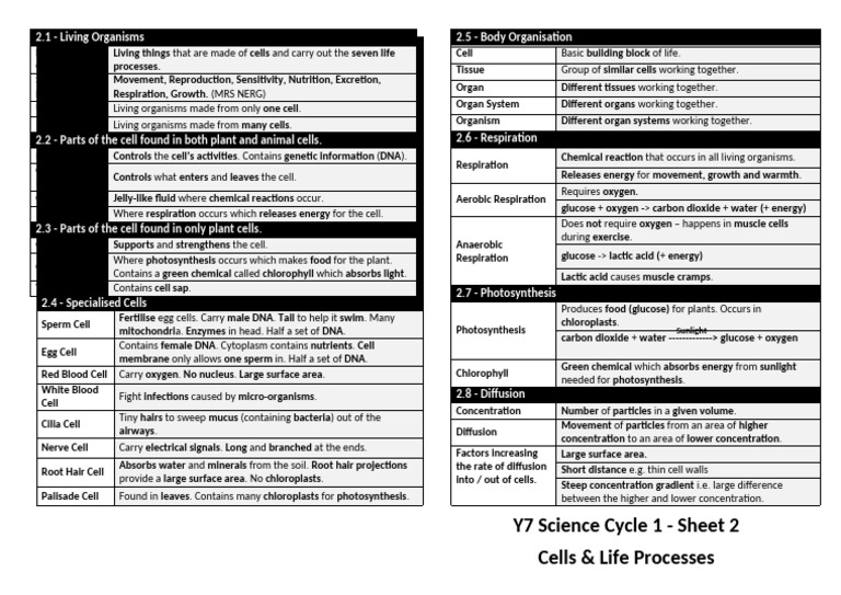 Y7 Cycle 1 - Sheet 2 - Cells & Life Processes | PDF | Cell (Biology ...