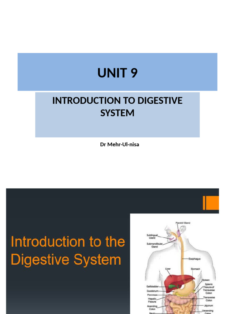 Introduction To Digestive System | PDF