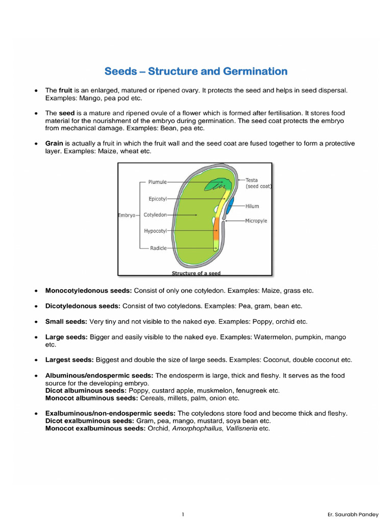 Seed Notes by Me | PDF