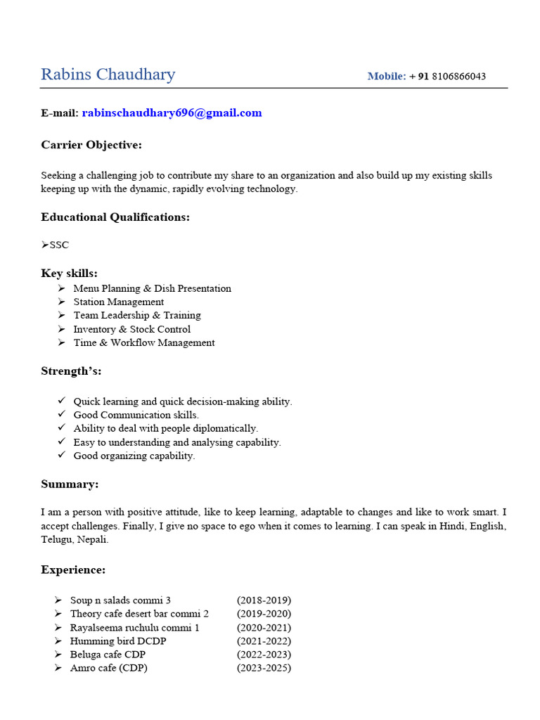 Robins Chaudhary Resume | PDF