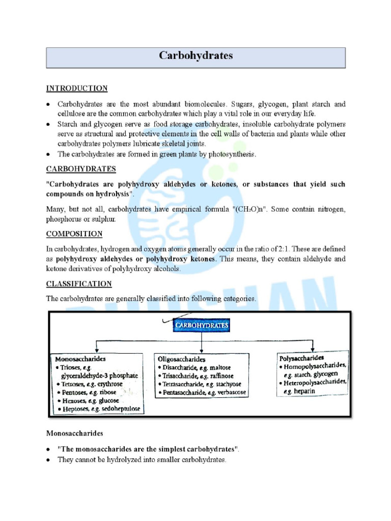 Kidney and Liver Function Tests Explained | PDF | Kidney | Medical ...