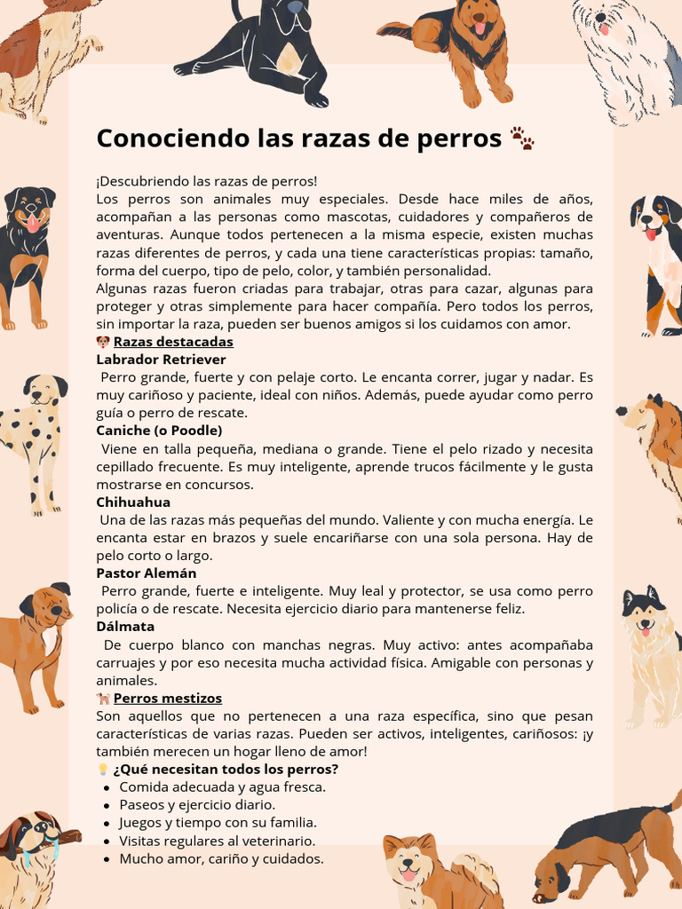 Brown Black White Cute Playful Dogs A4 Stationery Page Border | PDF ...