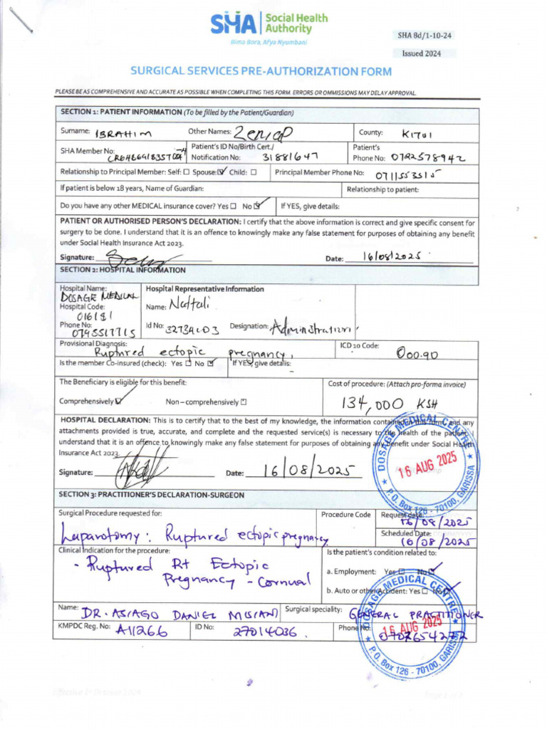 Zeinab Pre-Auth Form | PDF