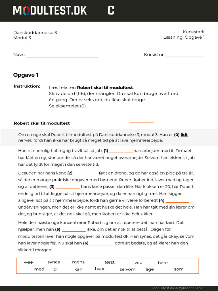 DU3 3C Kursistark Marts 2025 Ny | PDF