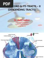 Ascending and Descending Tracts | PDF | Spinal Cord | Central Nervous ...