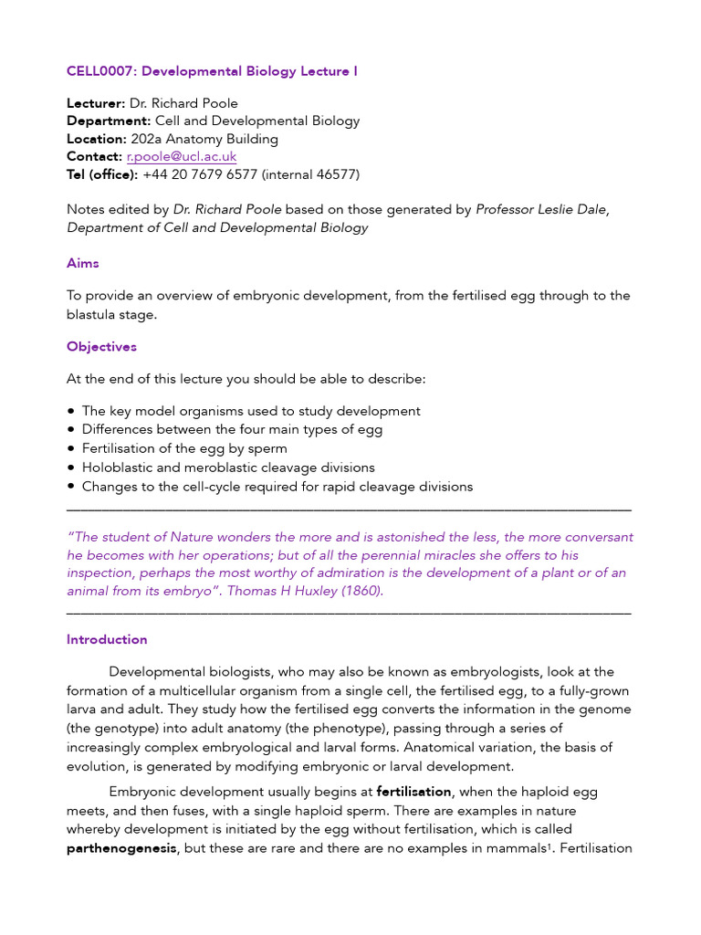 Embryonic Development Overview Lecture | PDF | Developmental Biology ...