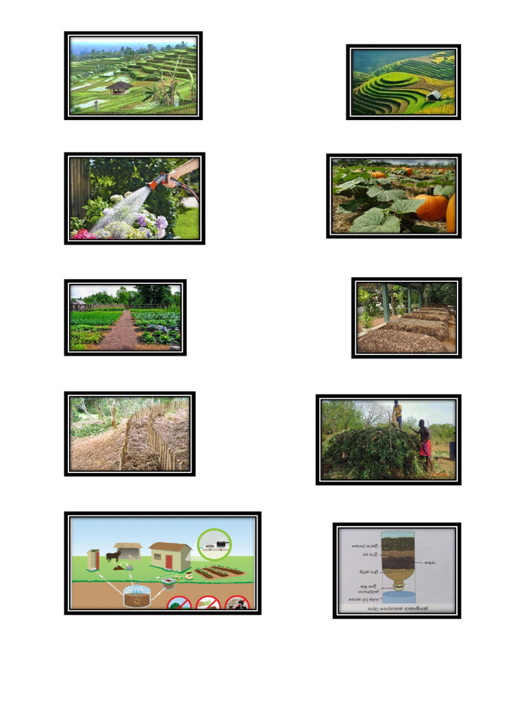 PTS Ii Img | PDF