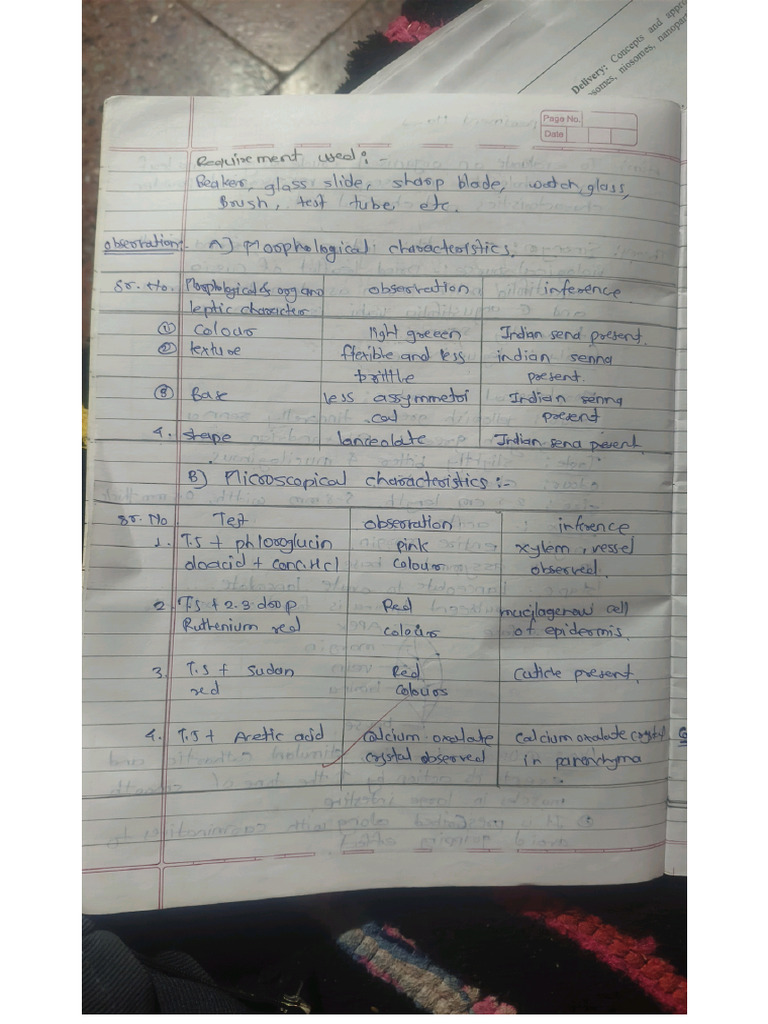 Senna Leaflet Ts Cognosy | PDF