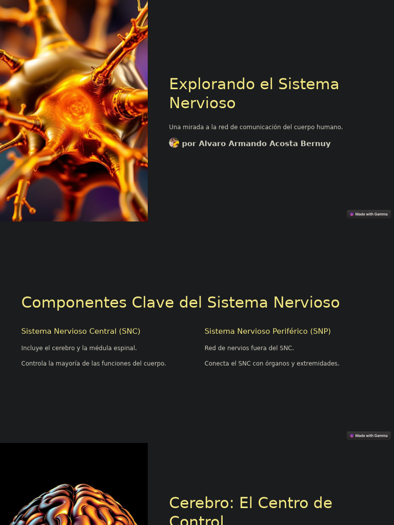 Explorando-el-Sistema-Nervioso | PDF
