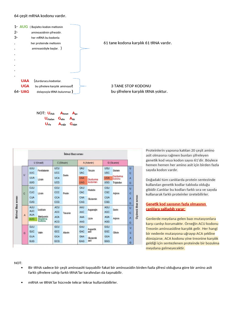 Uaa Uga Uag | PDF