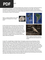 Beaks of Finches Lab Activity Guide | PDF | Ecological Niche | Birds