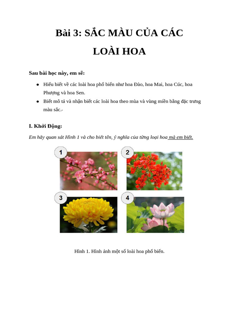 Sắc Màu Của Các Loài Hoa | PDF