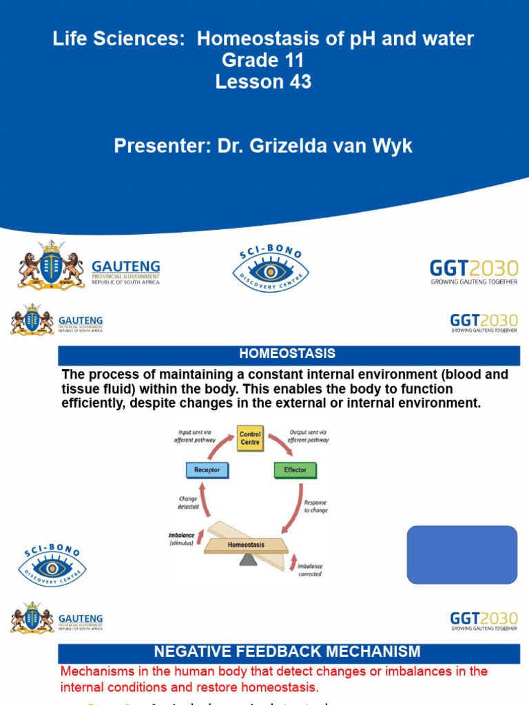 Life Sciences Gr.11 Lesson 43 Homeostasis of PH and Water | PDF ...