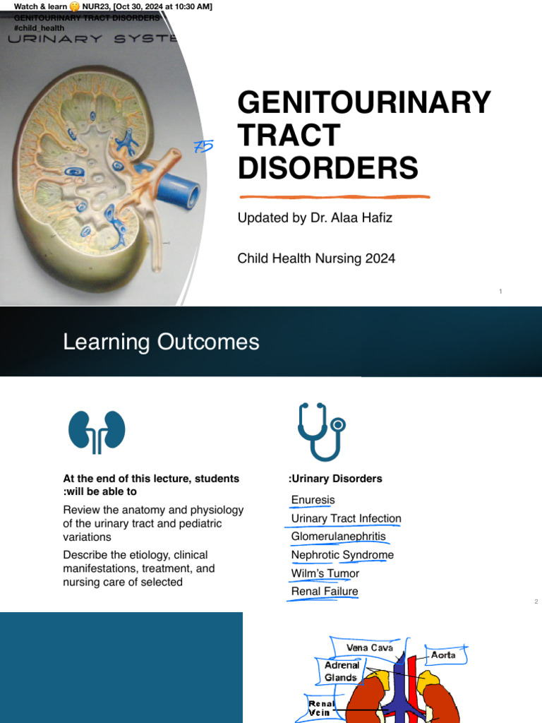 Pediatric Genitourinary Disorders Overview | PDF | Kidney | Urinary System