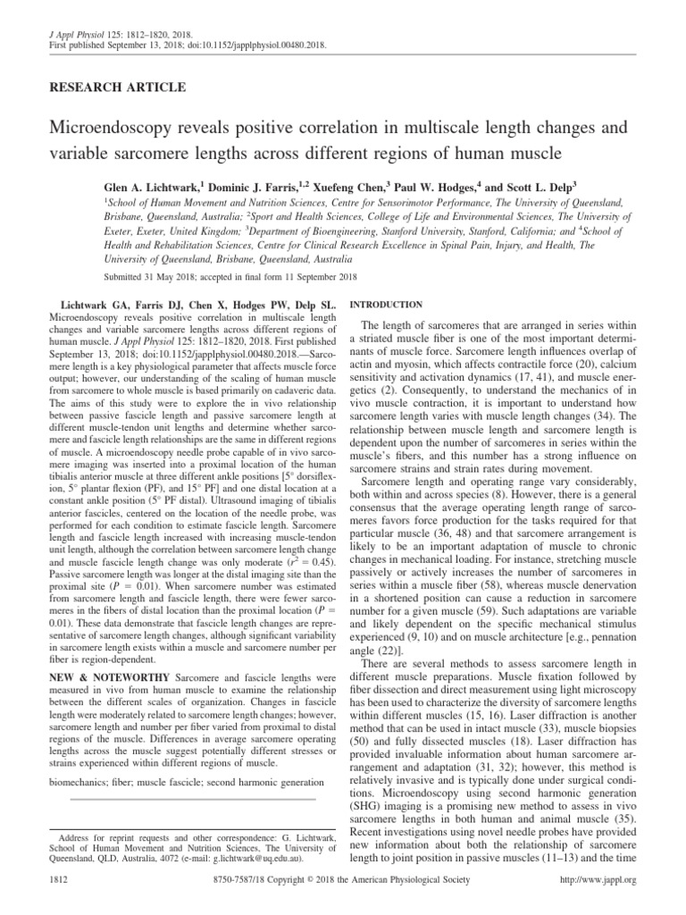 Lichtwark Et Al 2018 Microendoscopy Reveals Positive Correlation in ...