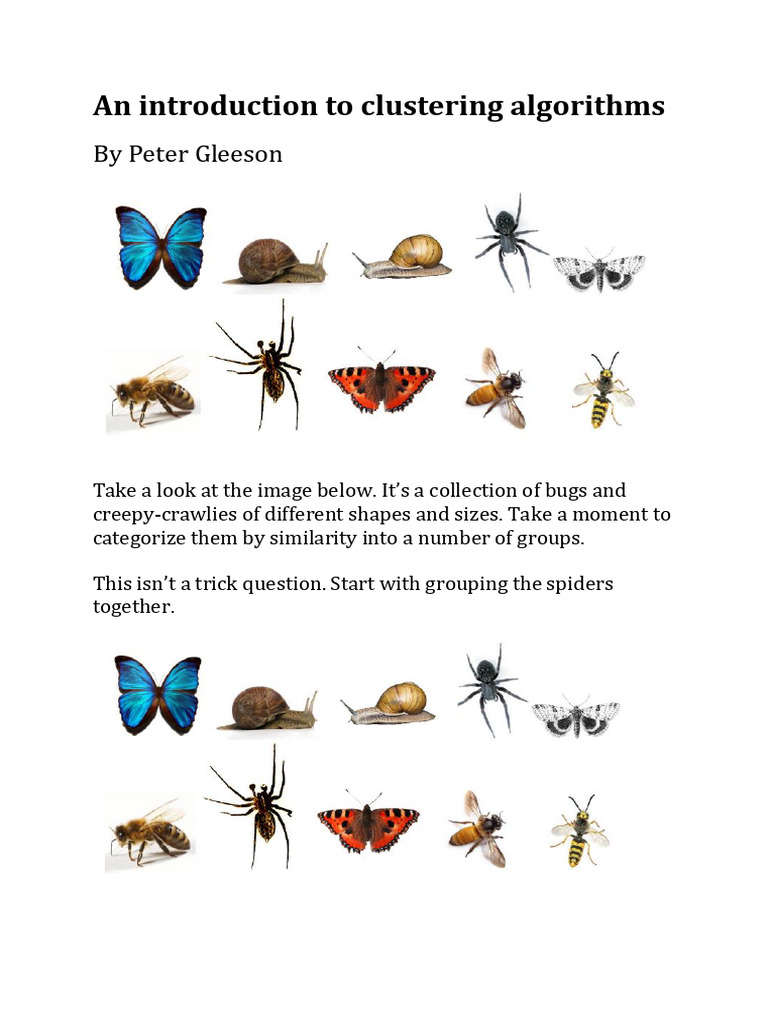 An Introduction To Clustering Algorithms | PDF | Cluster Analysis | Theoretical Computer Science