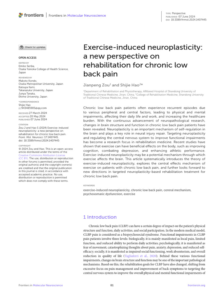 Exercise-Induced Neuroplasticity in CLBP | PDF | Neuroplasticity ...