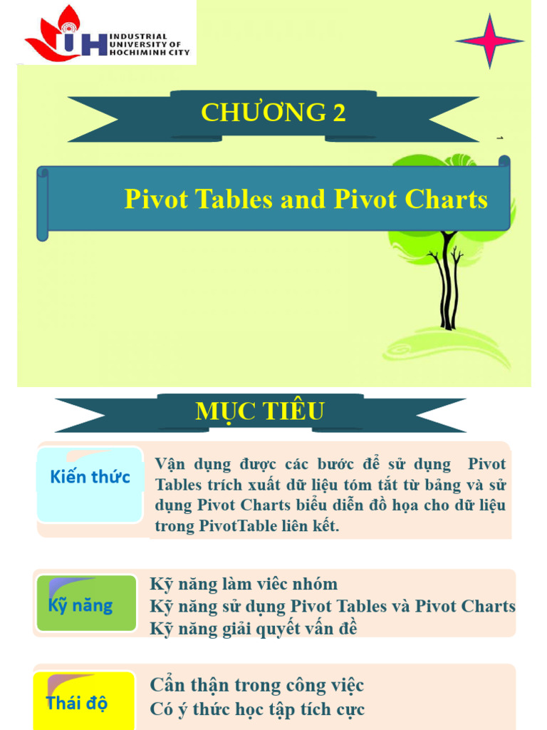 Tham Khao Excel - Summerize Data With Pivot Tables and Pivot Charts | PDF