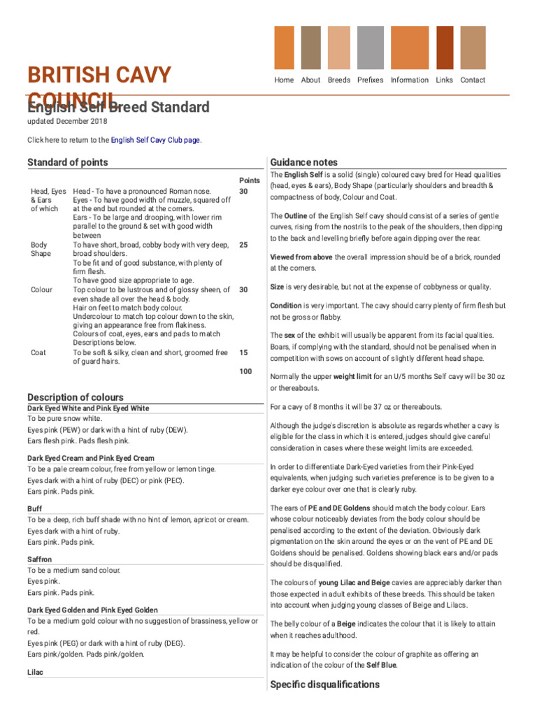 British Cavy Council - English Self Breed Standard | PDF