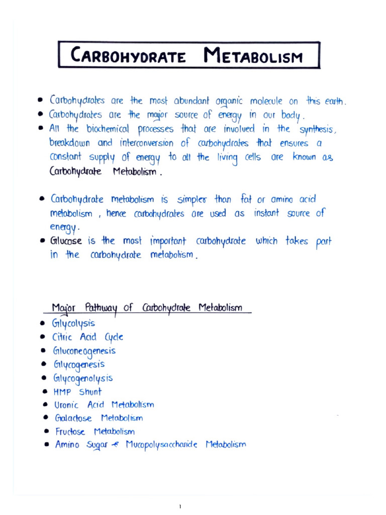 Biochemistry Unit 2 | PDF